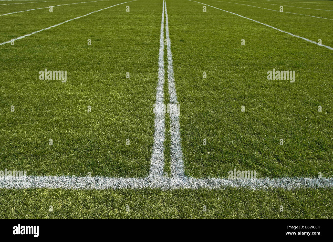 Perspective of a green playing field with painted white lines Stock ...