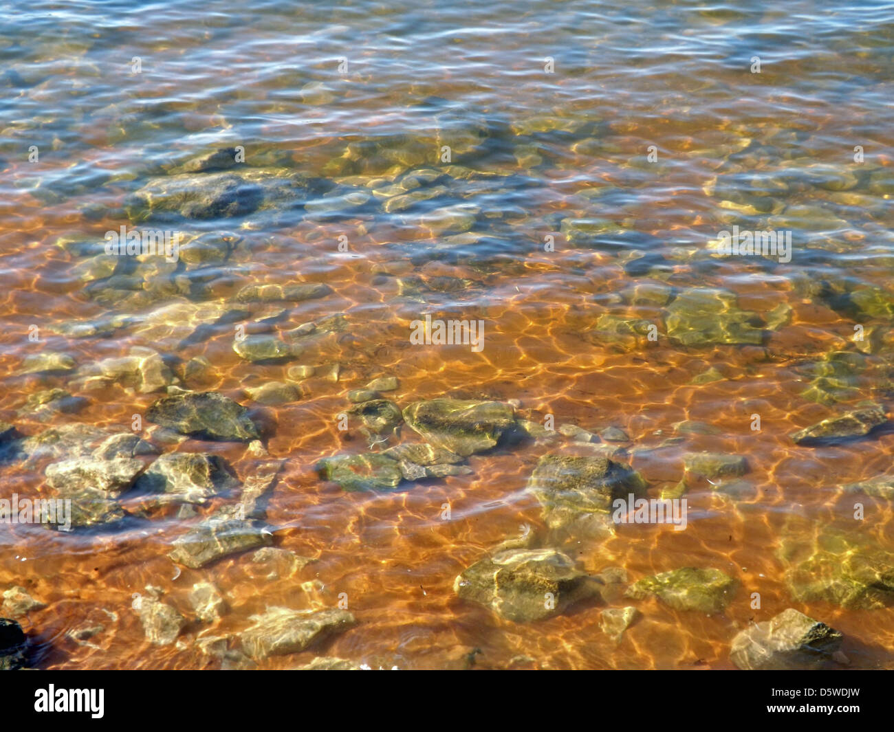 Foremark hi-res stock photography and images - Alamy