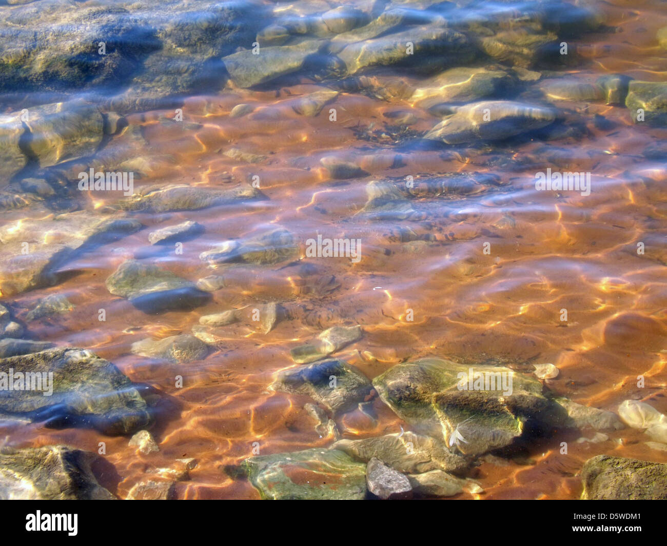 Foremark hi-res stock photography and images - Alamy