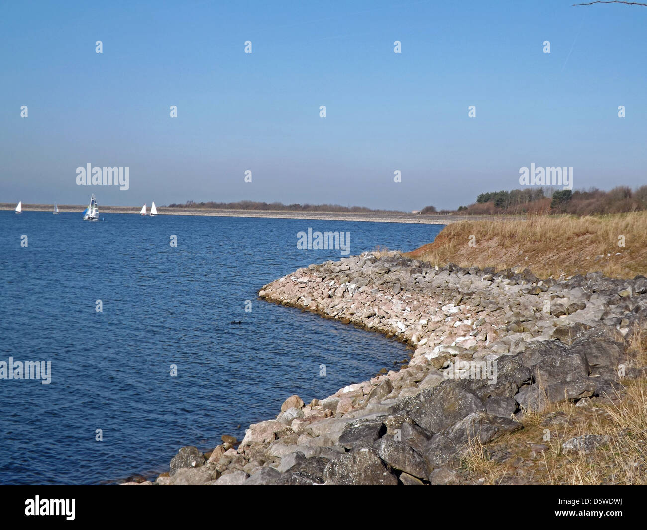 Foremark reservoir hi-res stock photography and images - Alamy