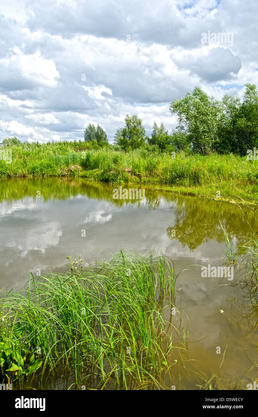 summer lake landscape in Russia Stock Photo - Alamy