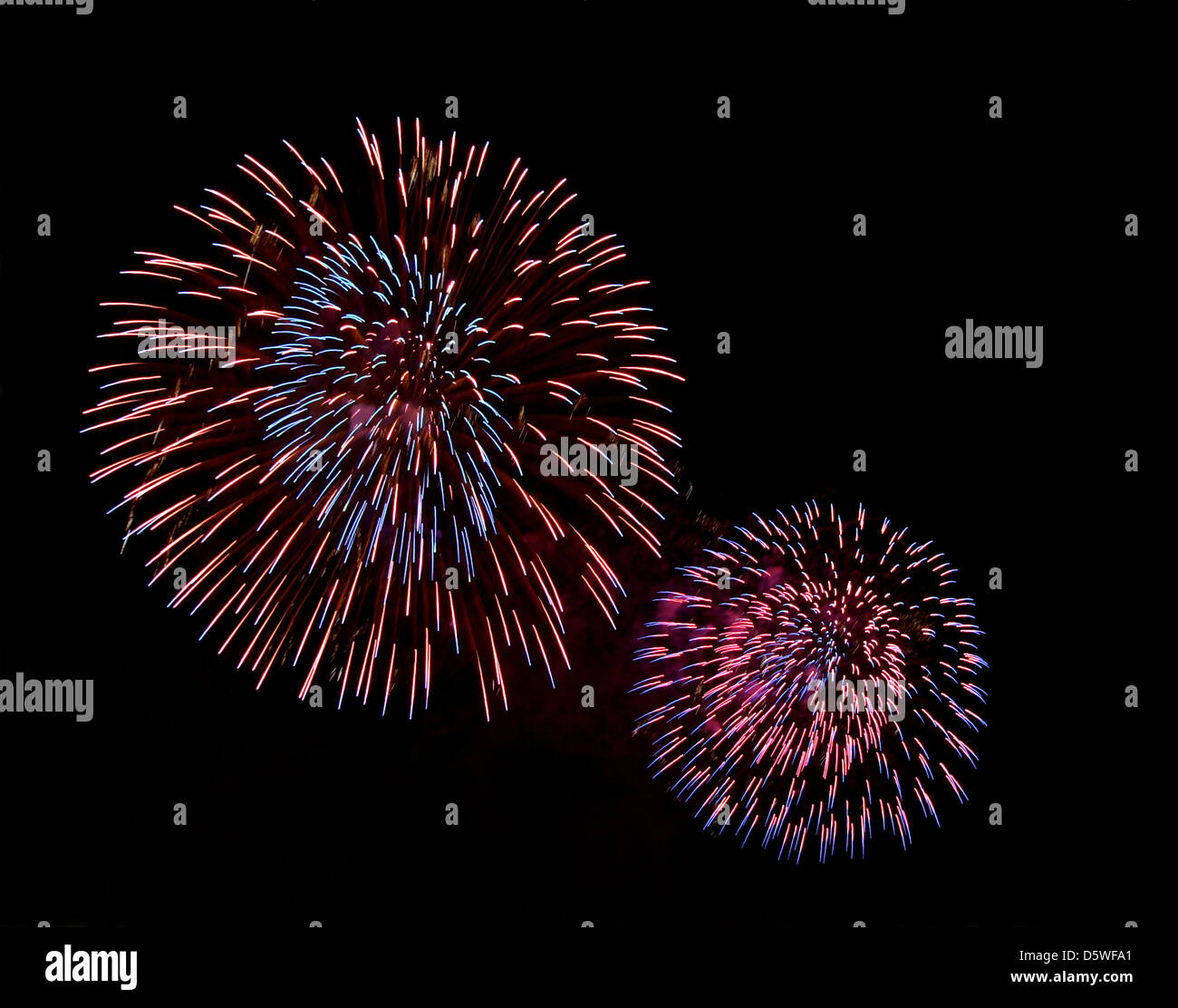 Beautiful purple fireworks in black sky. Fireworks festival Stock Photo ...