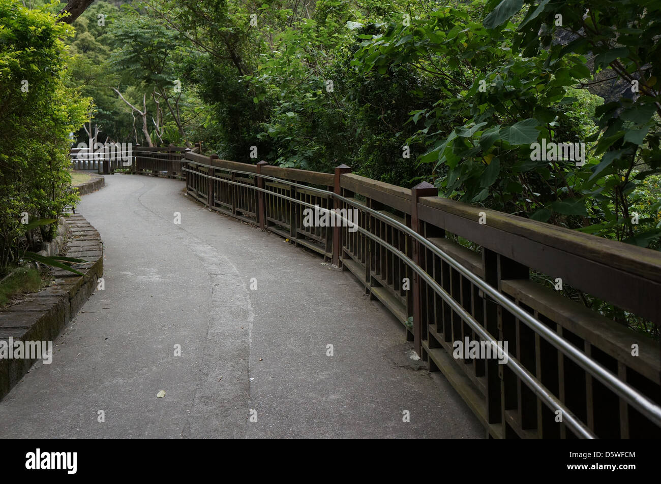 Road with greenery hi-res stock photography and images - Alamy