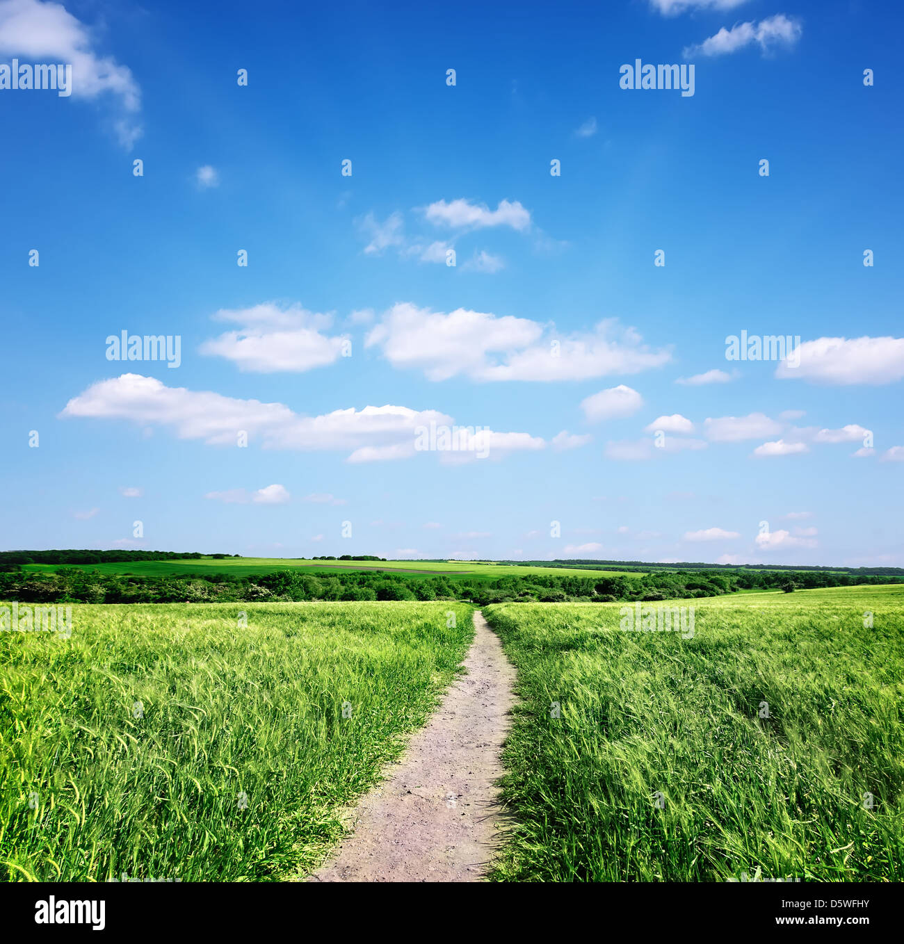 Beautiful summer landscape Stock Photo - Alamy
