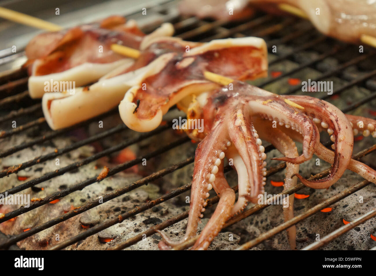 Juhi hi-res stock photography and images - Alamy