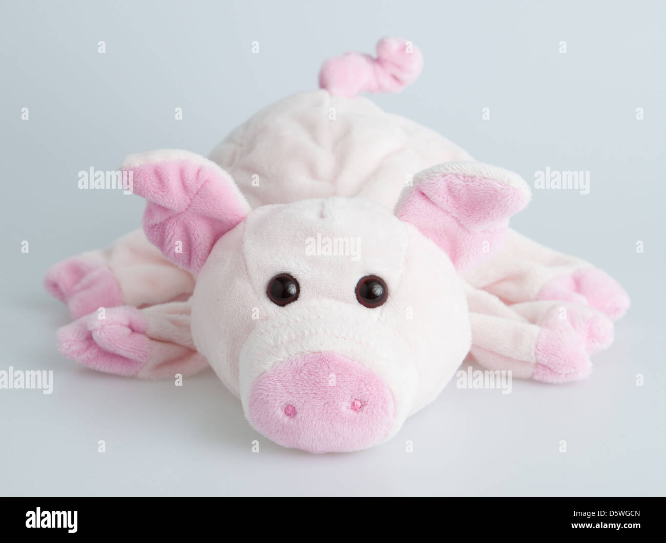 Stuffed pink piggy isolated Stock Photo - Alamy