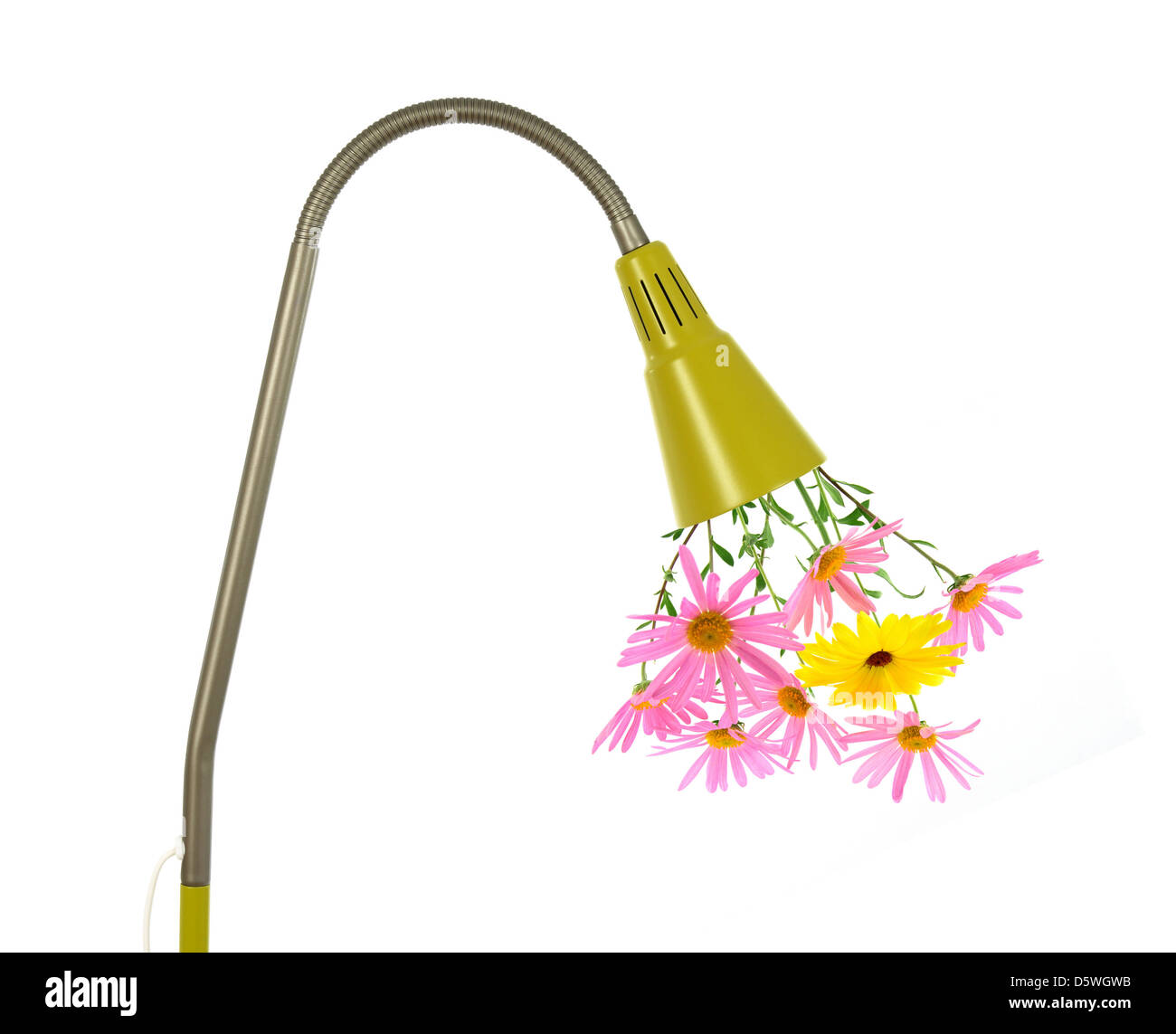 Flowers lamp Cut Out Stock Images & Pictures - Alamy