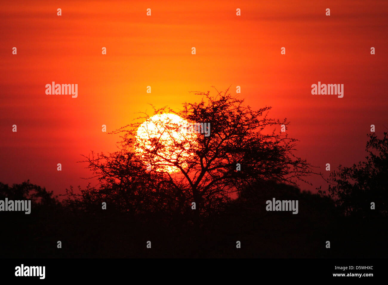 Red sunset in the Namib Desert, Namibia, south Africa Stock Photo - Alamy