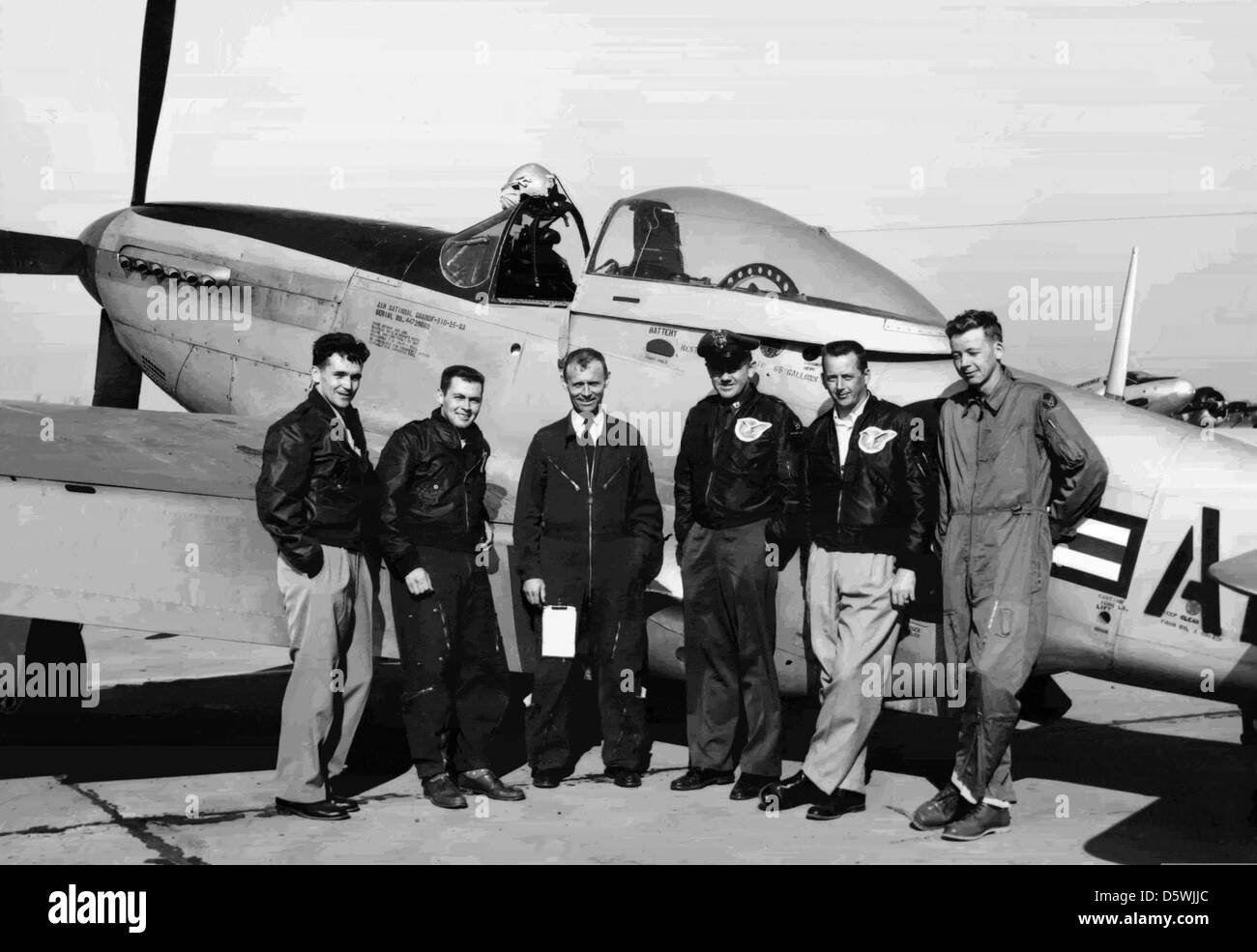 The North American F-51D 'Mustang' of the 119th Fighter Wing, known as ...