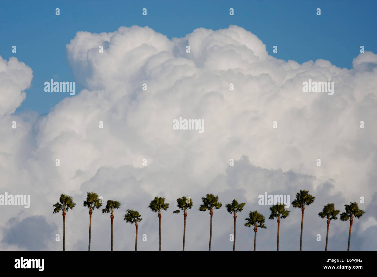 Distant turmoil hi-res stock photography and images - Alamy