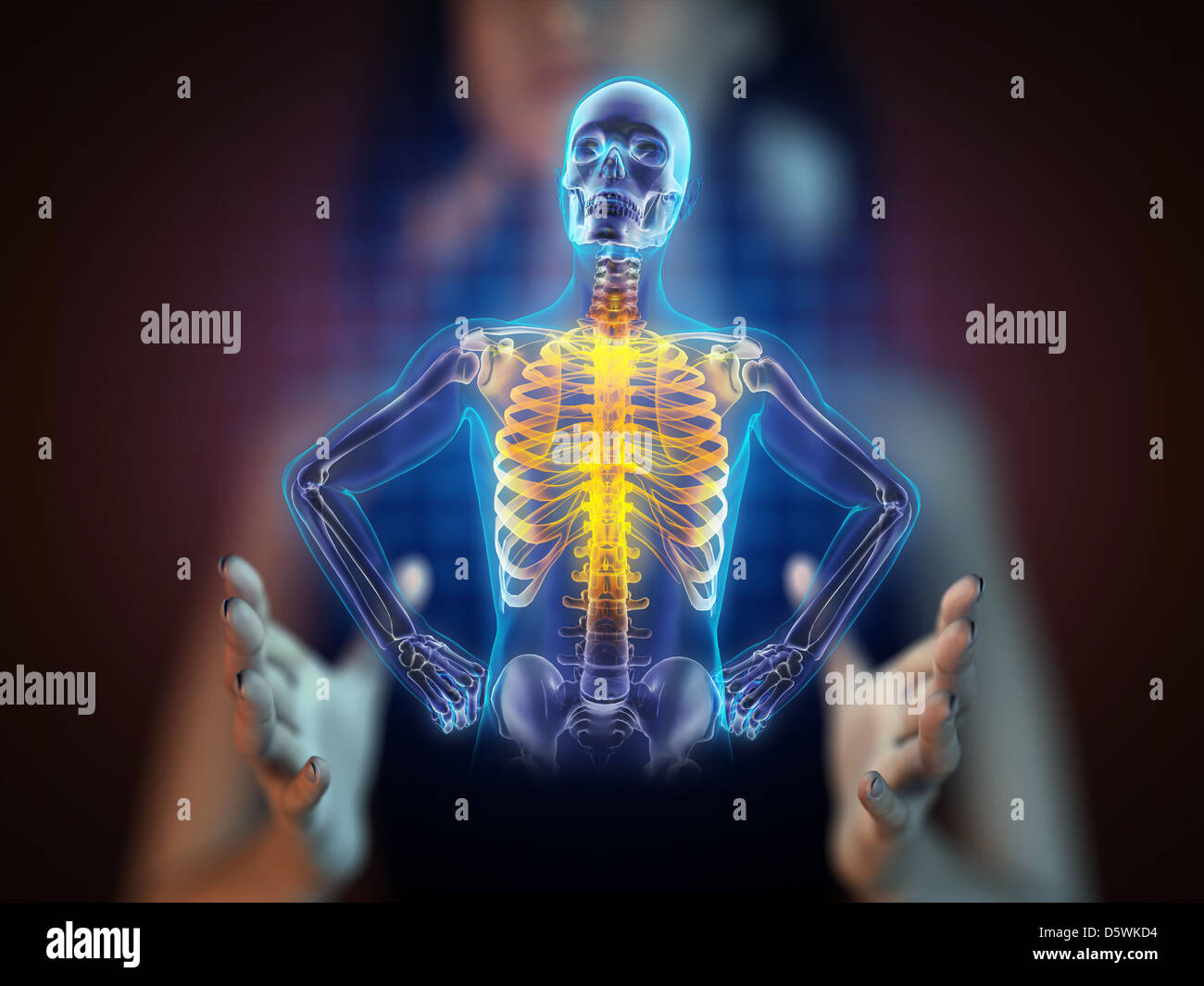 human radiography scan on hologram Stock Photo - Alamy
