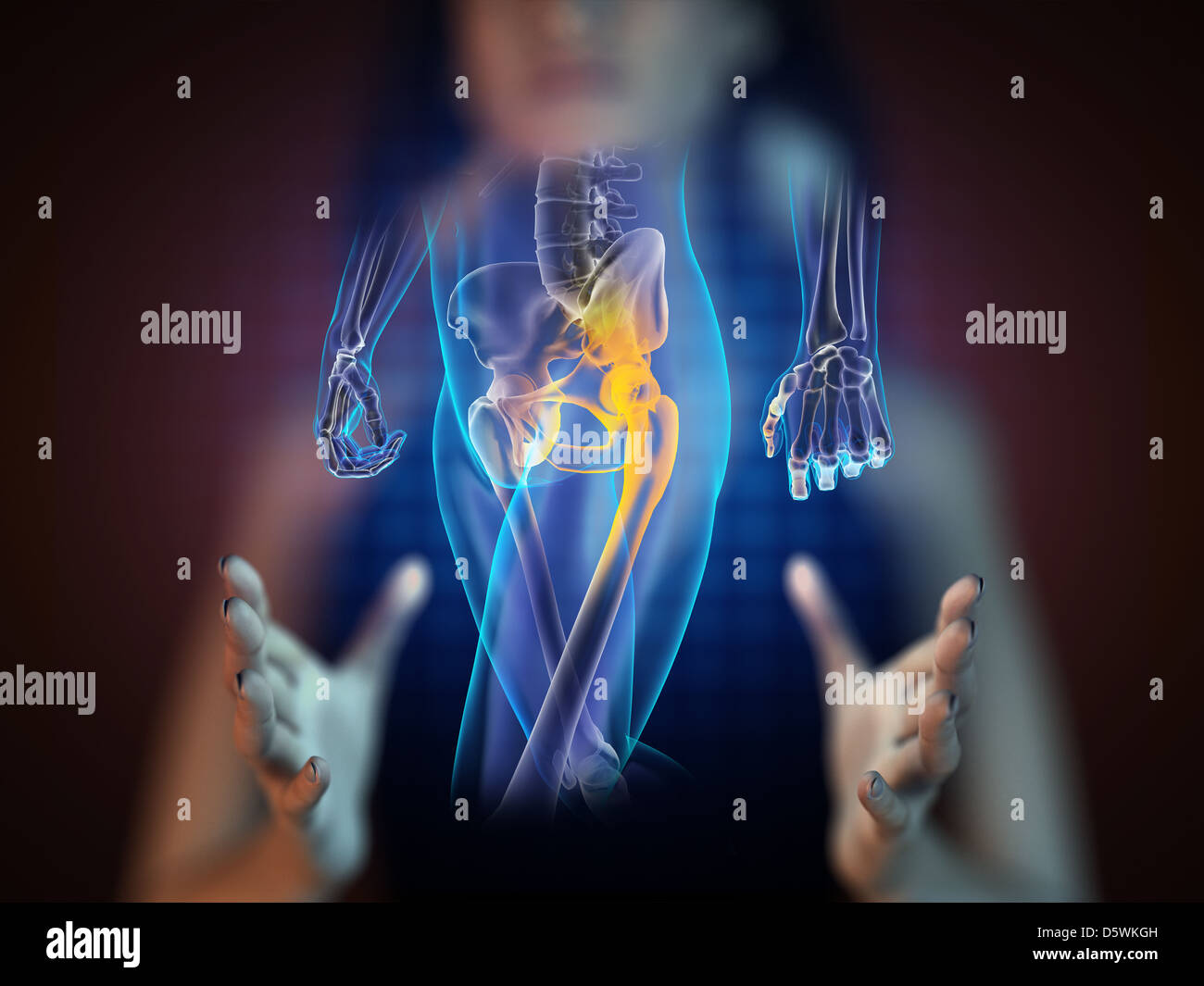 human radiography scan on hologram Stock Photo - Alamy