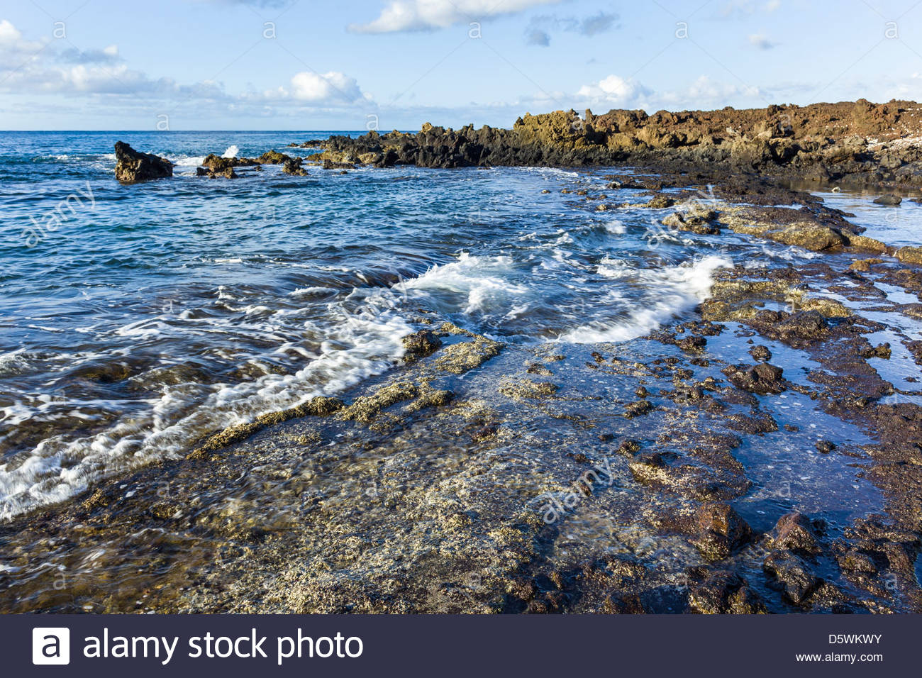 Intertidal Zone Foreshore High Resolution Stock Photography and Images ...
