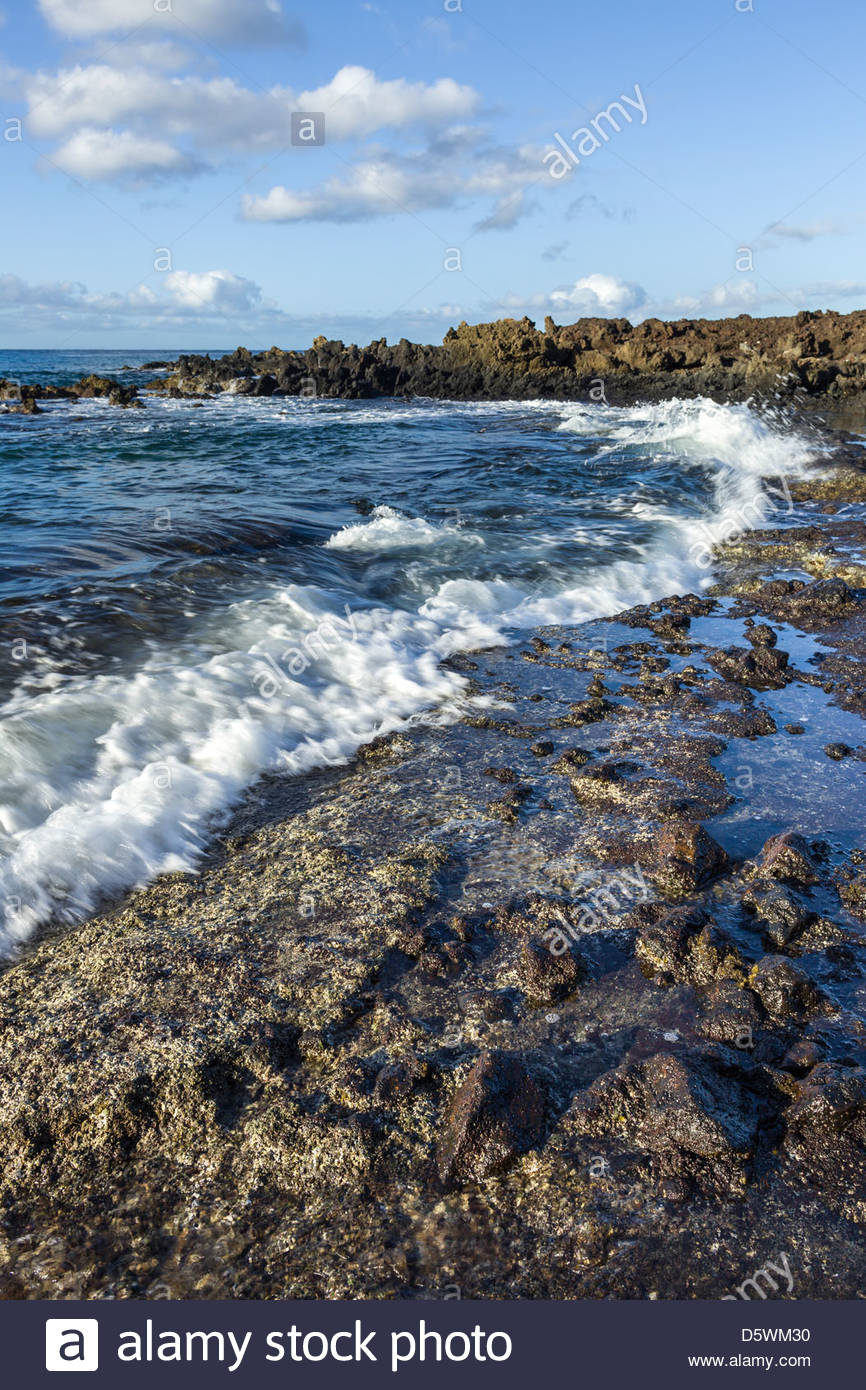 Intertidal Zone Foreshore High Resolution Stock Photography and Images ...