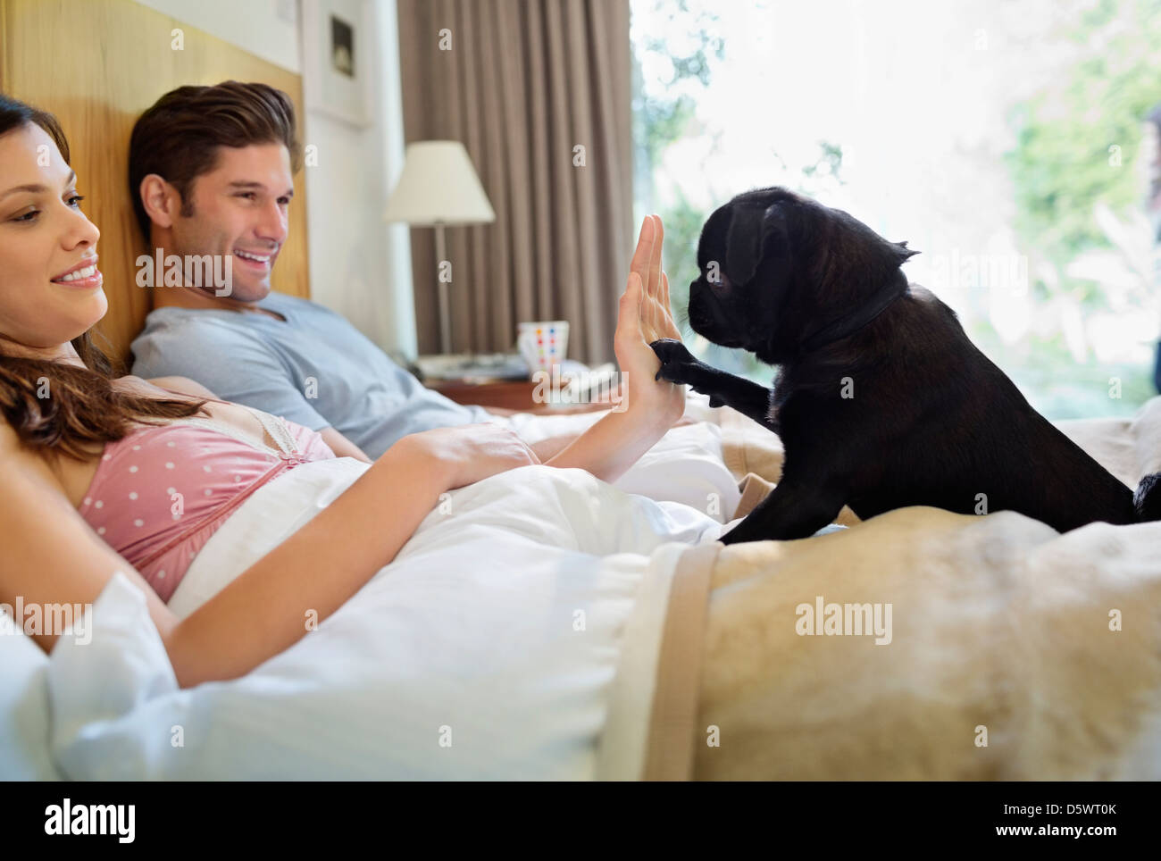 Woman teaching dog 'high five' in bed Stock Photo - Alamy