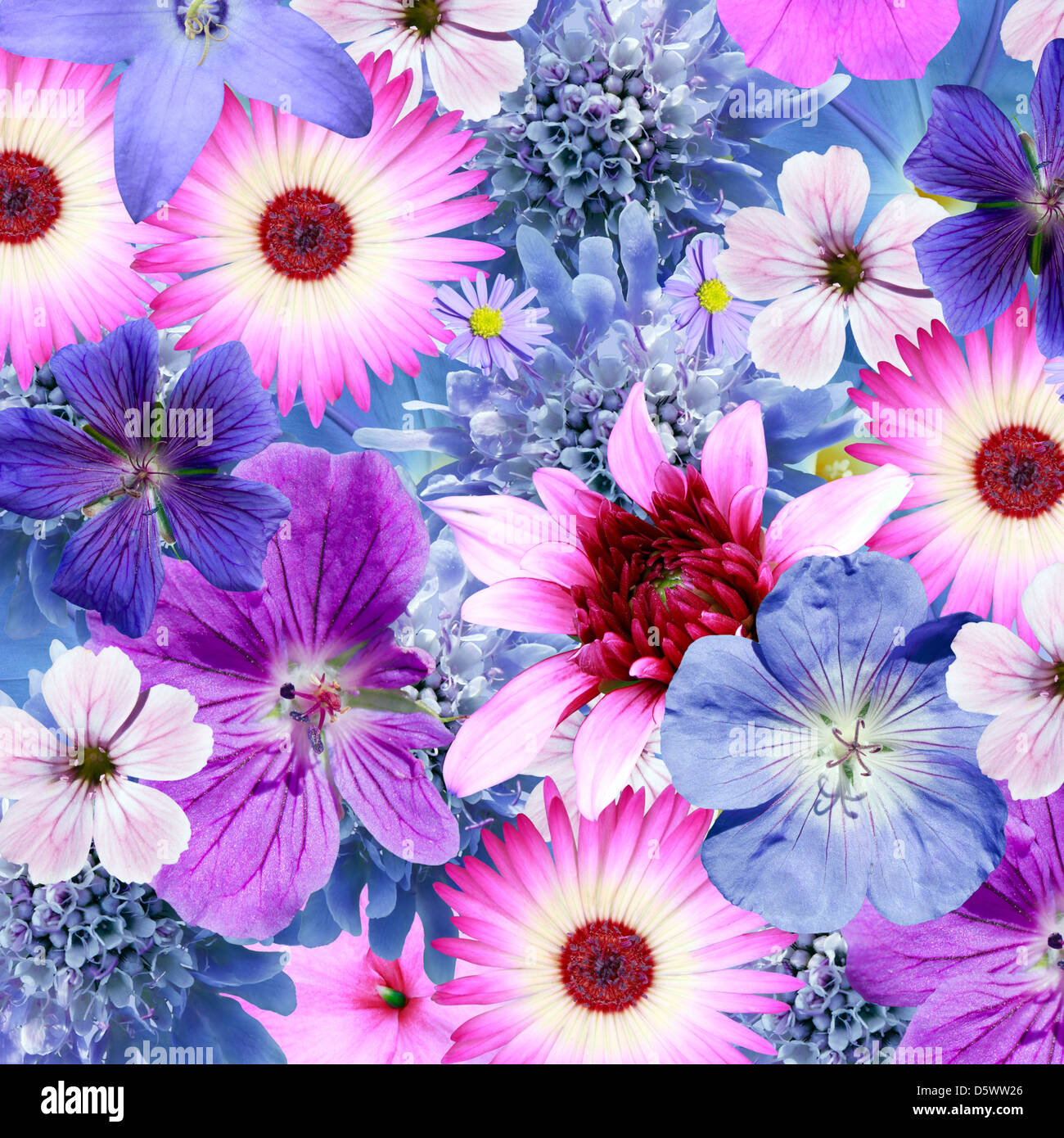 mix of flowers Stock Photo - Alamy