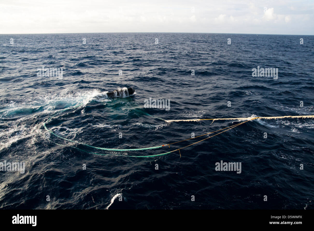 Para van door lifting operation in the seismic vessel Veritas Vantage ...