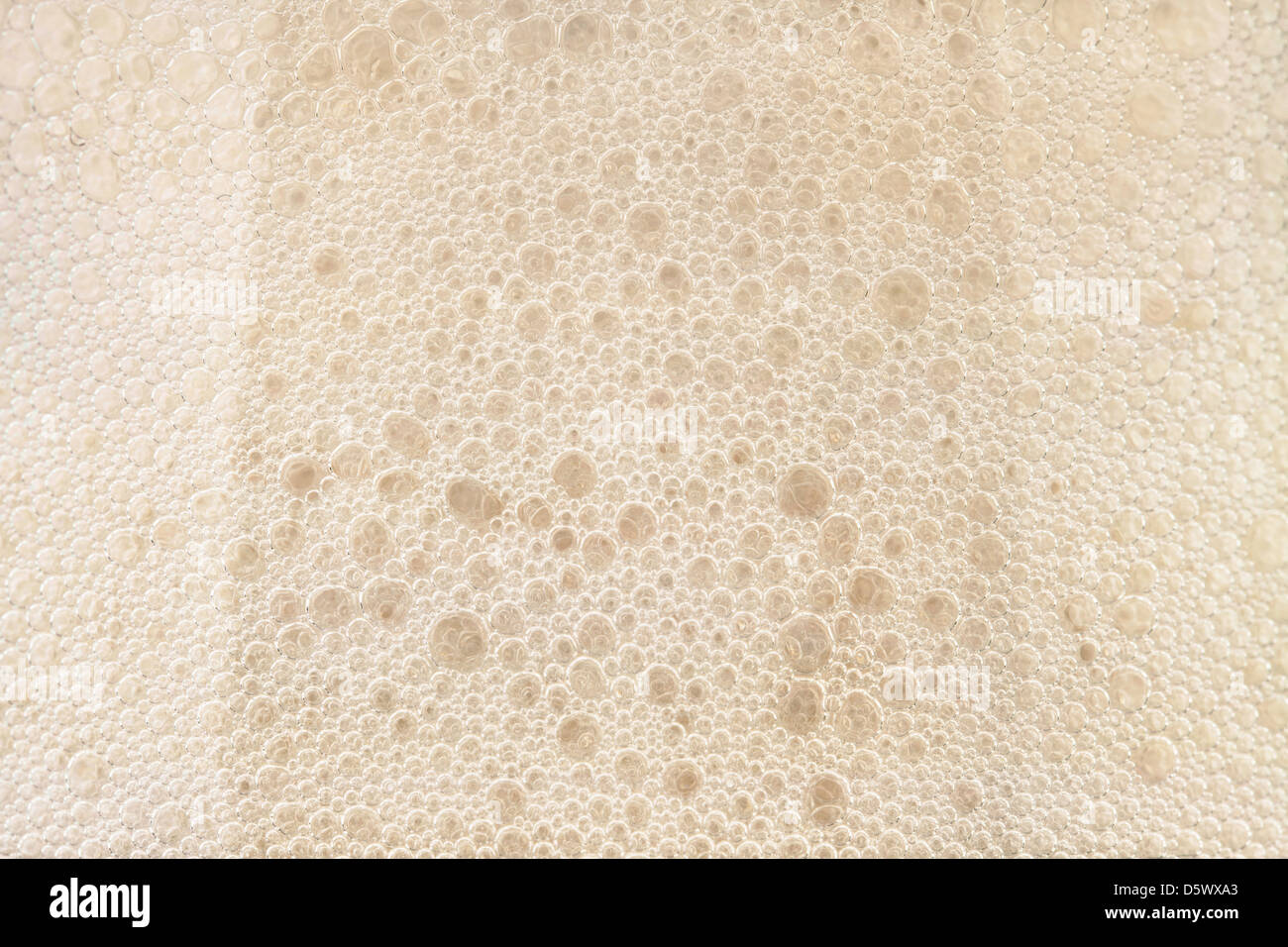 Beer Froth Texture