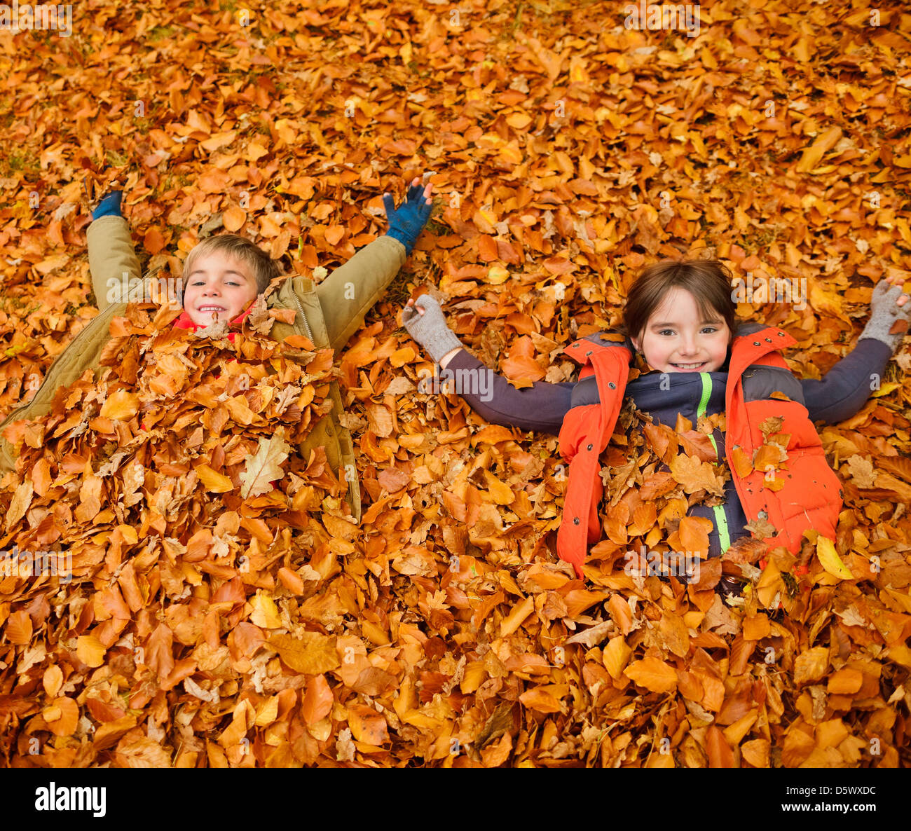 Children laying in autumn leaves Stock Photo - Alamy