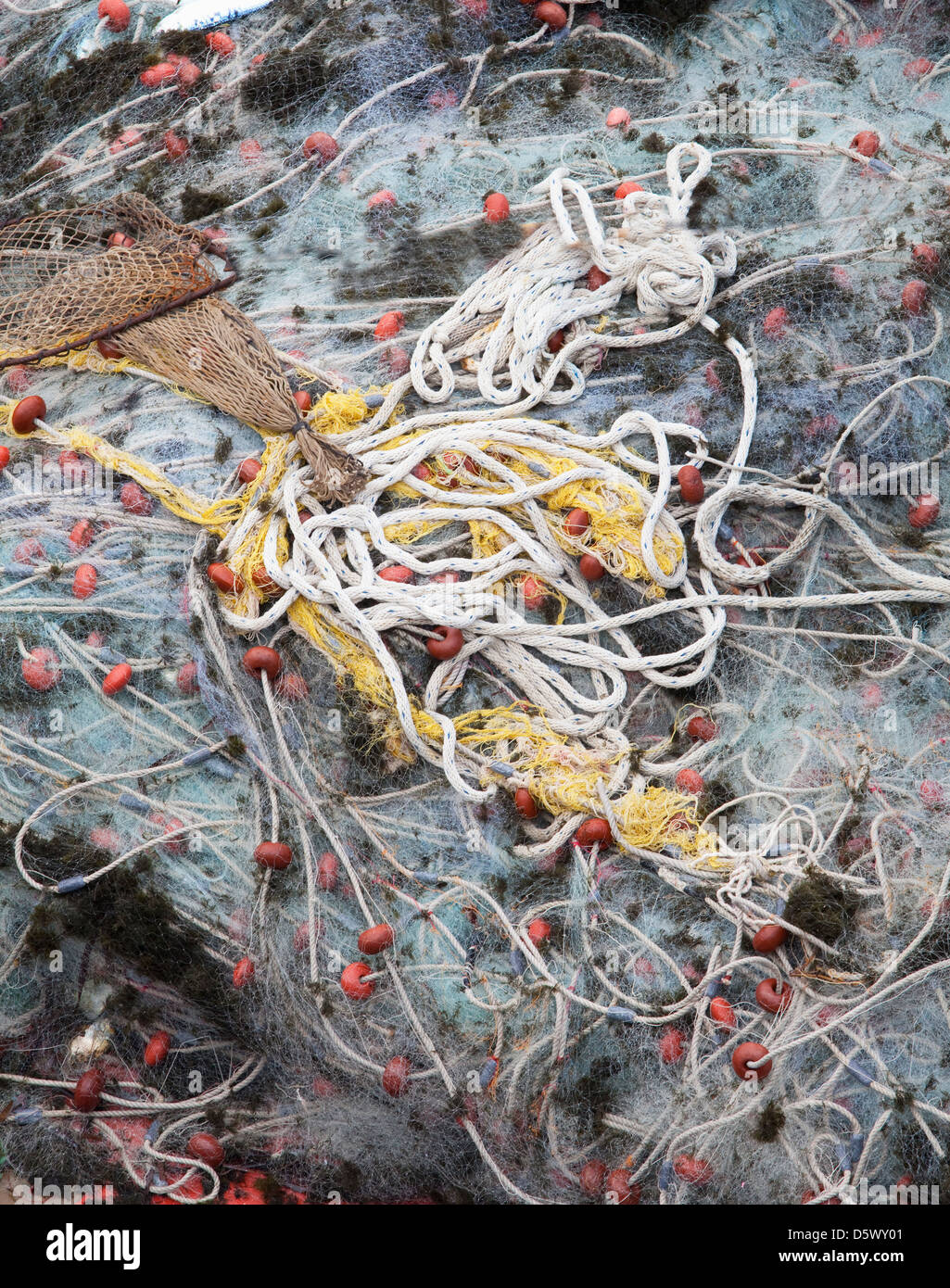 Wire fishing nets hi-res stock photography and images - Alamy