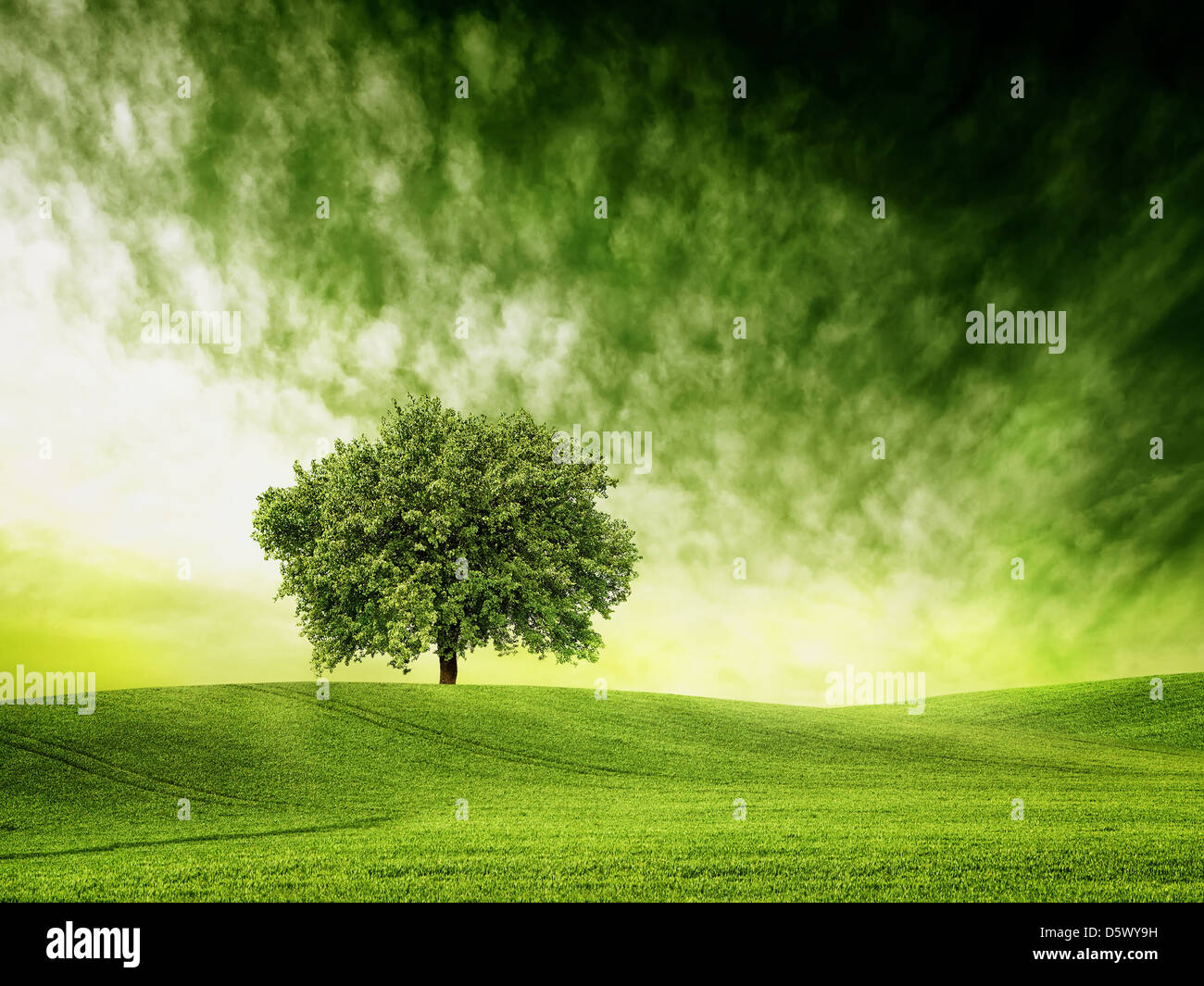 Find time for green time Stock Photo - Alamy