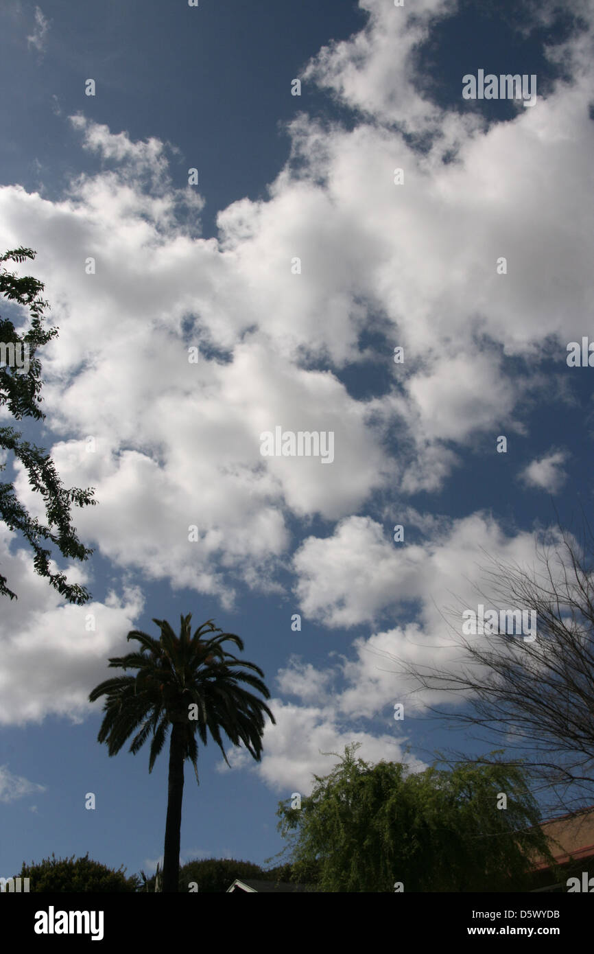 Cloud, Sky & Greenery Stock Photo - Alamy