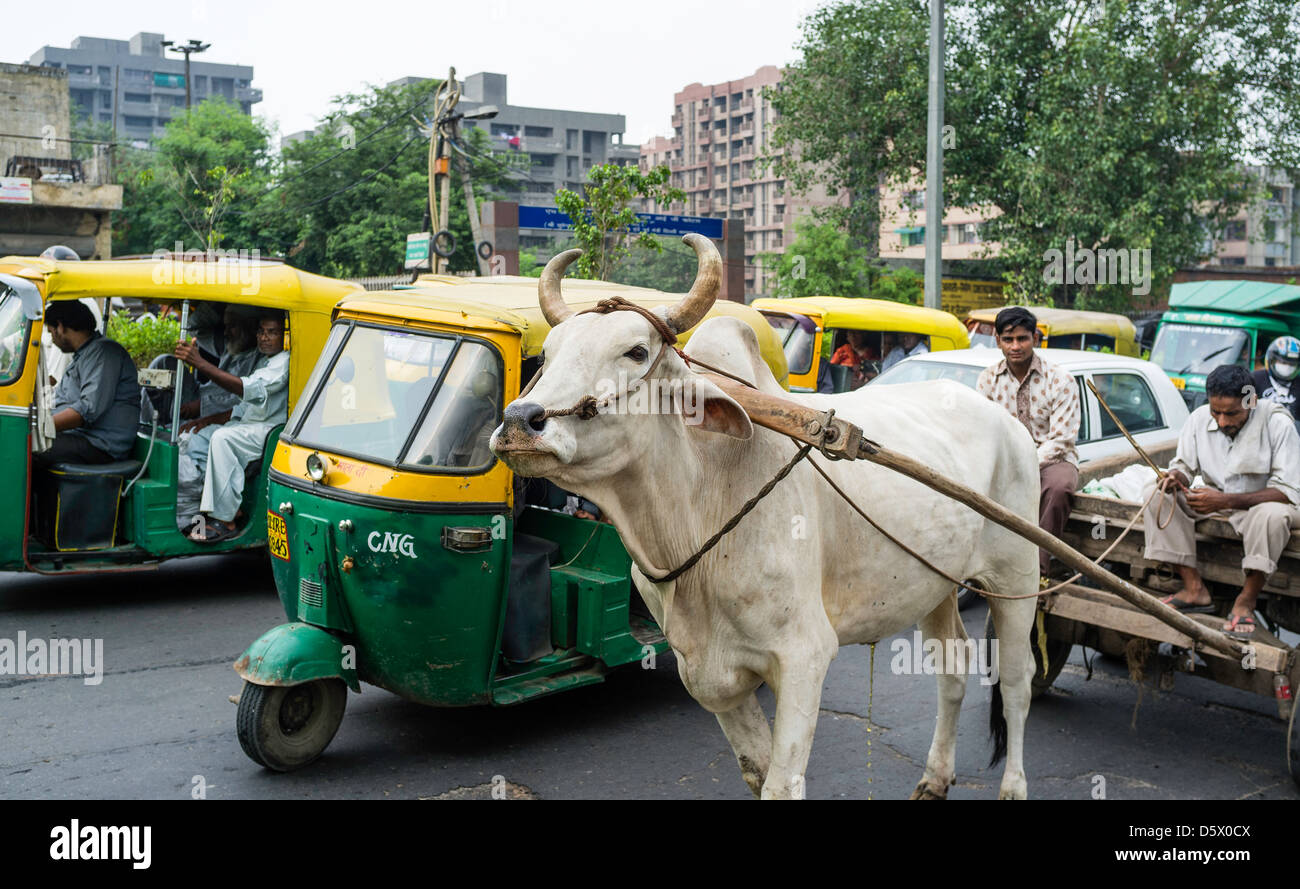 Bullock Cart India Stock Photos & Bullock Cart India Stock Images - Alamy