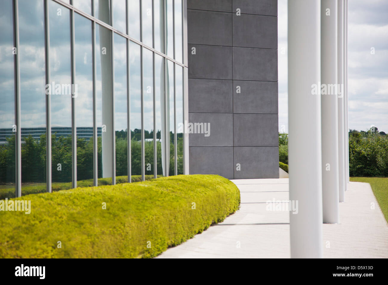 Manicured hedges and glass windows Stock Photo - Alamy