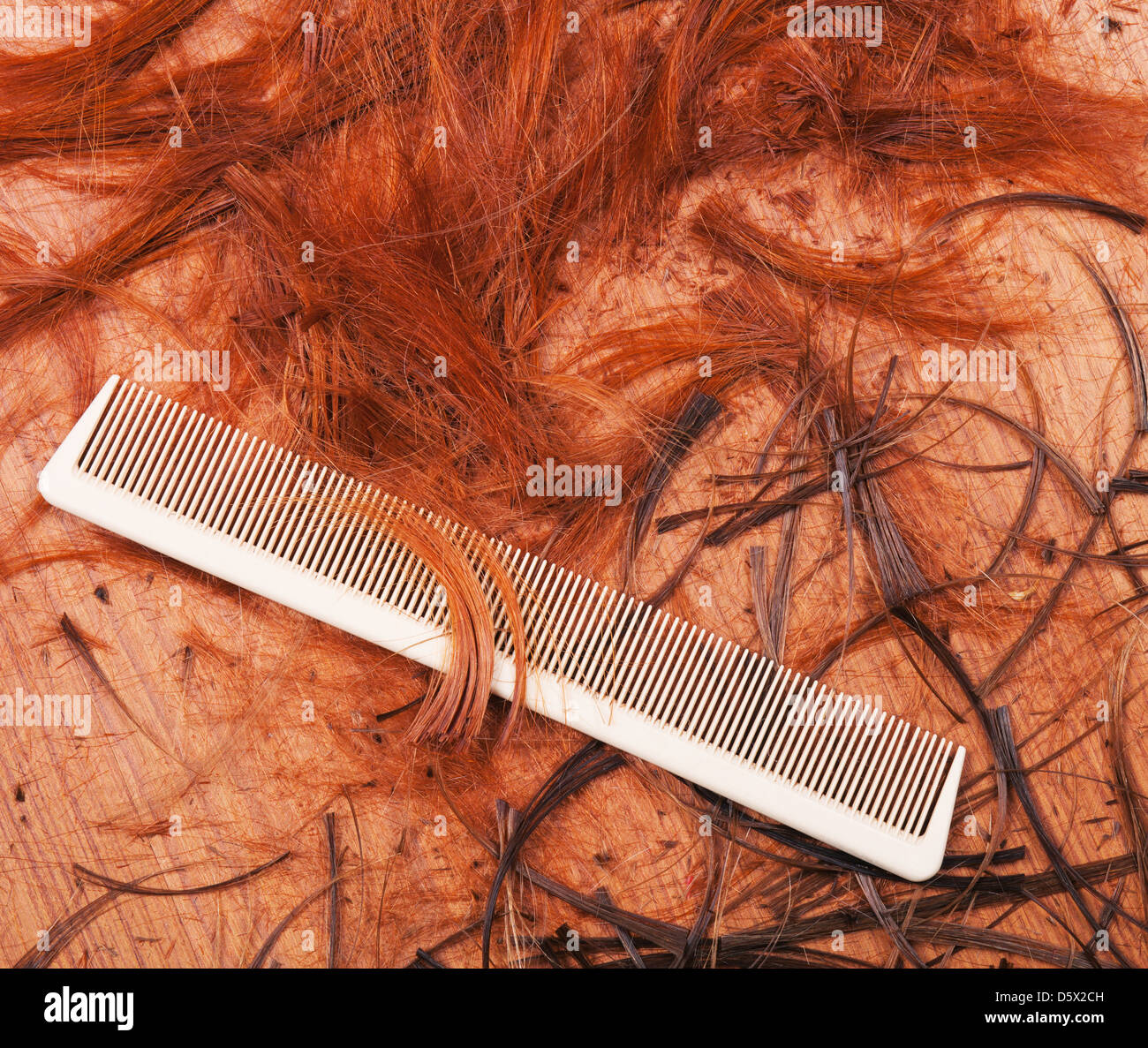 Trim the hair with a comb after shearing Stock Photo - Alamy
