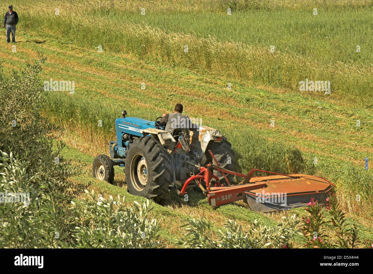 Farmer cutting hay hi-res stock photography and images - Alamy