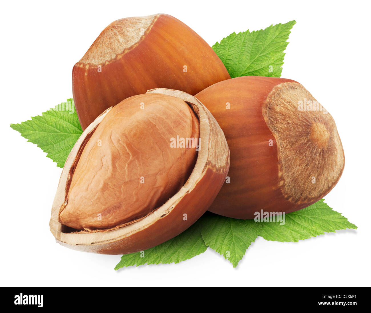 filbert with green leaf isolated Stock Photo - Alamy