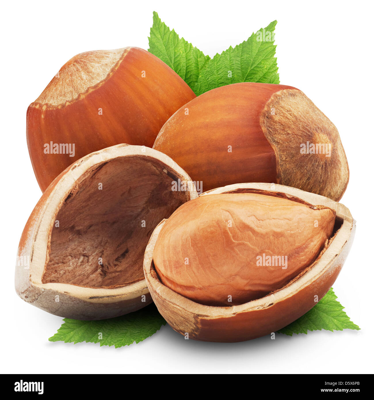 filbert with green leaf isolated Stock Photo - Alamy