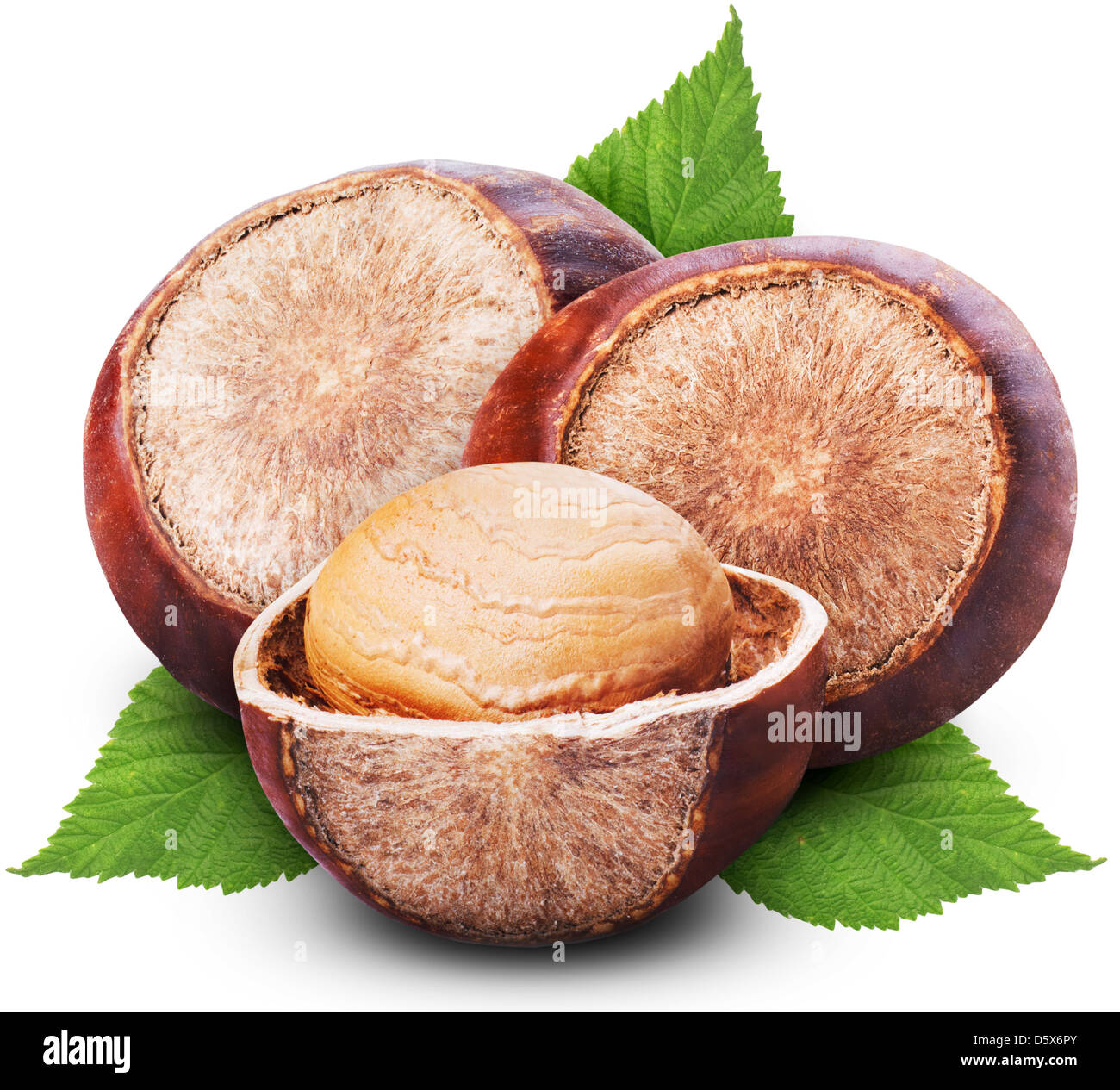 Nuts filberts on white background Stock Photo - Alamy