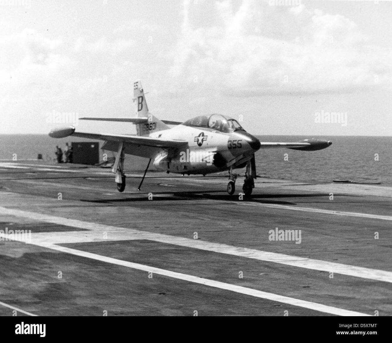 T 2c buckeye Black and White Stock Photos & Images - Alamy