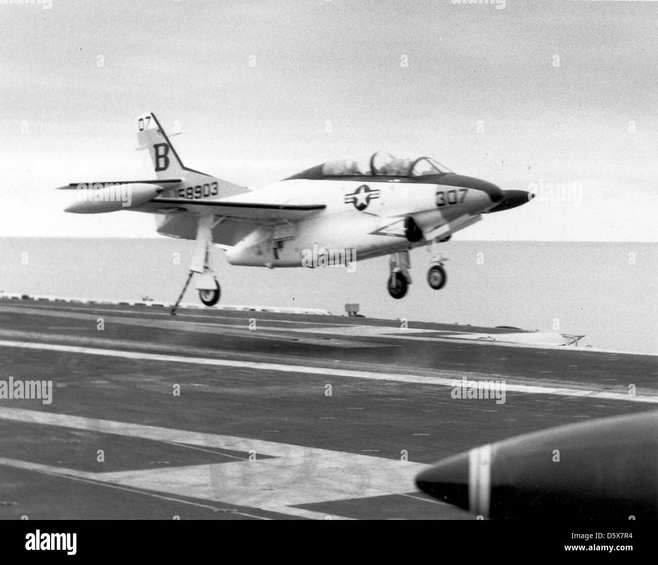 T 2c buckeye Black and White Stock Photos & Images - Alamy