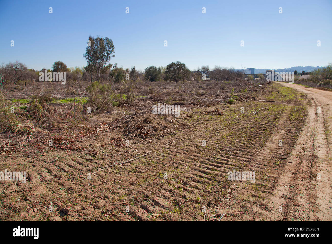 Destroyed trees bulldozed hi-res stock photography and images - Alamy