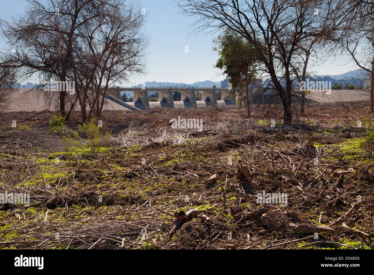 Destroyed trees bulldozed hi-res stock photography and images - Alamy