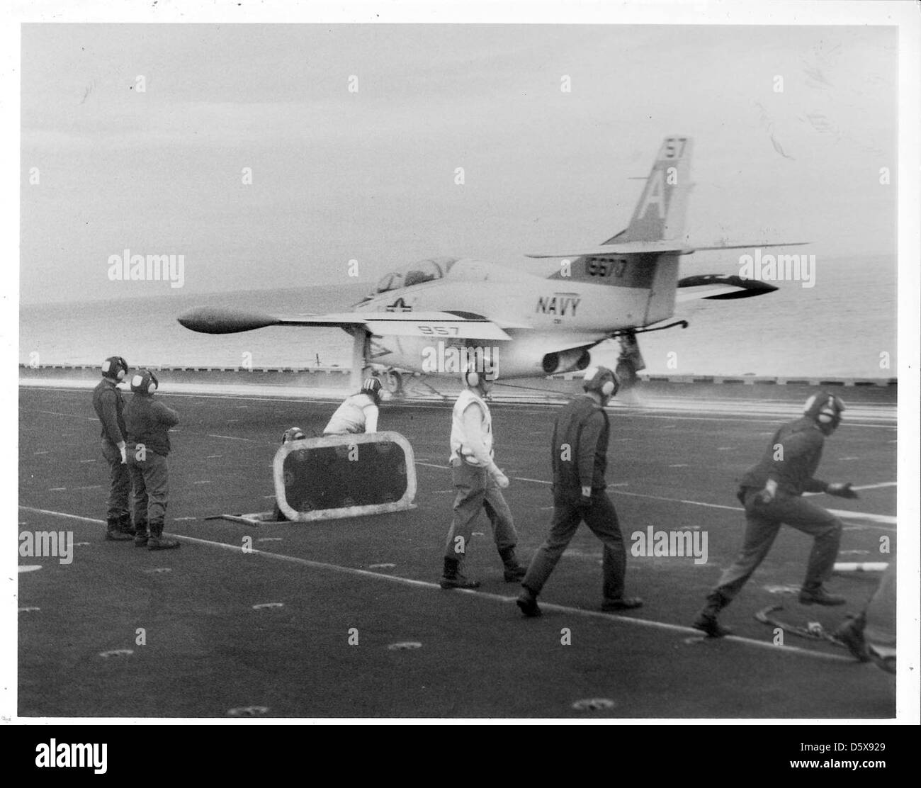 T 2 buckeye hi-res stock photography and images - Alamy