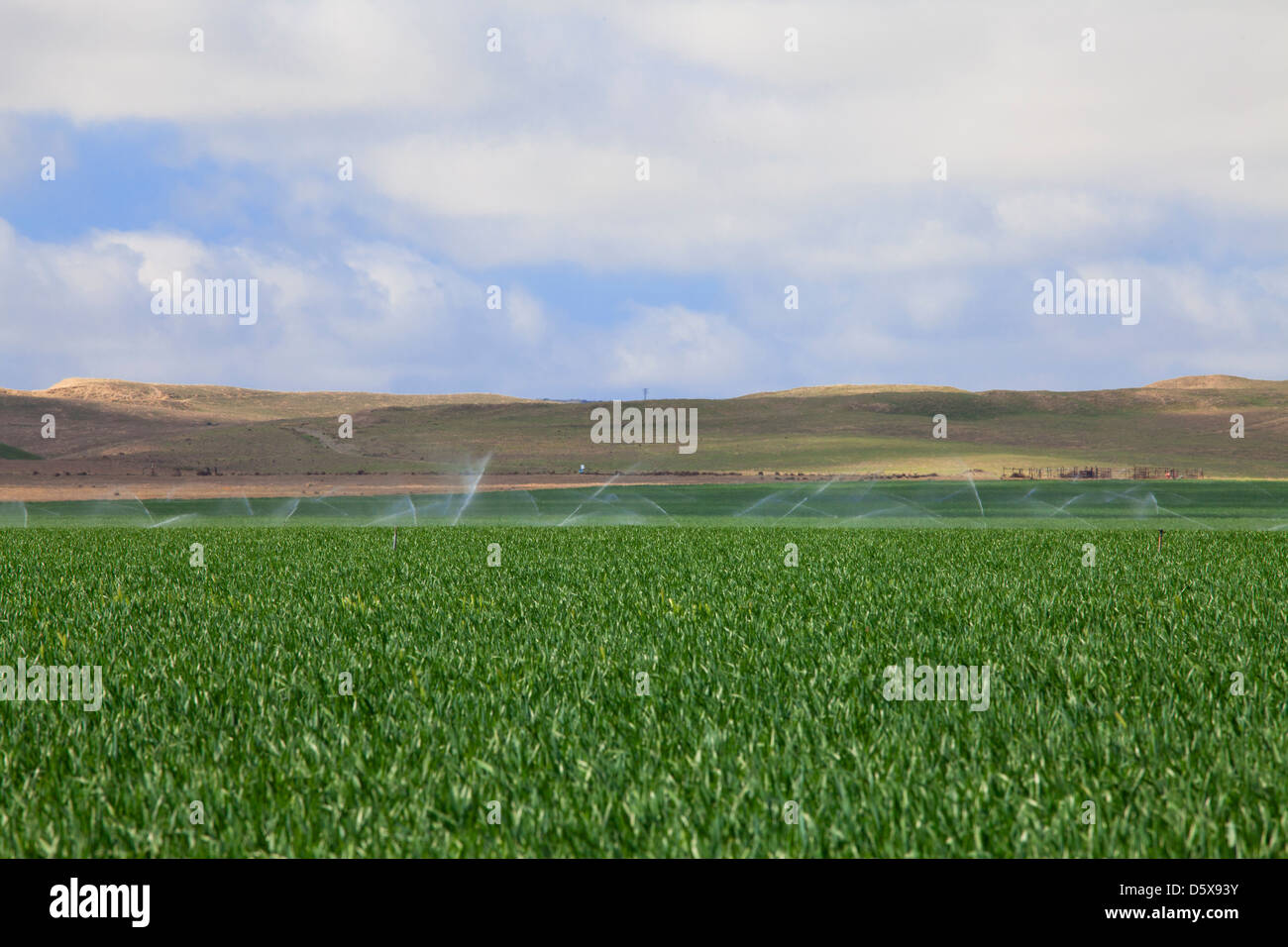 Valley irrigation hi-res stock photography and images - Alamy