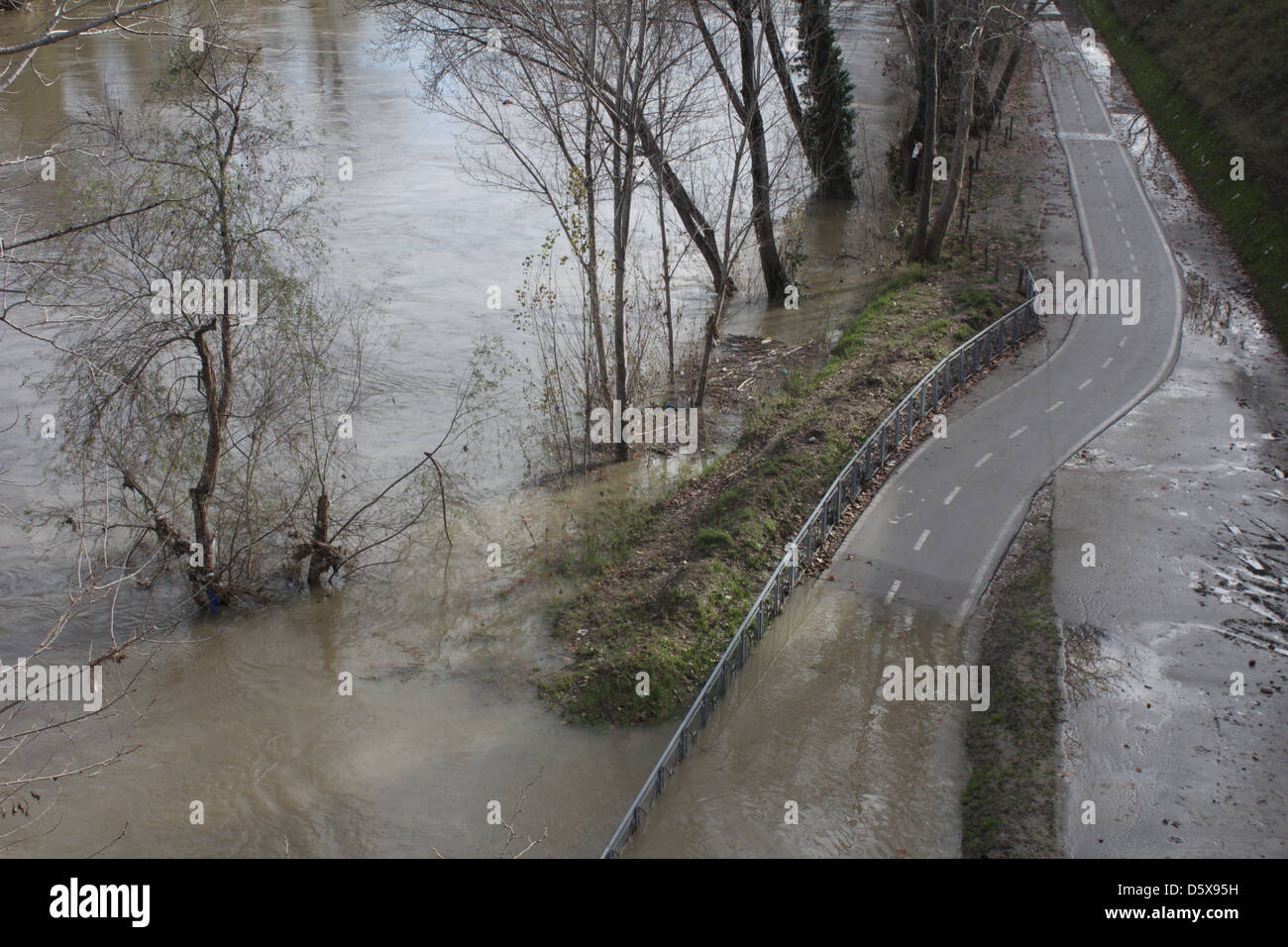 Cycle lane blocked tree hi-res stock photography and images - Alamy