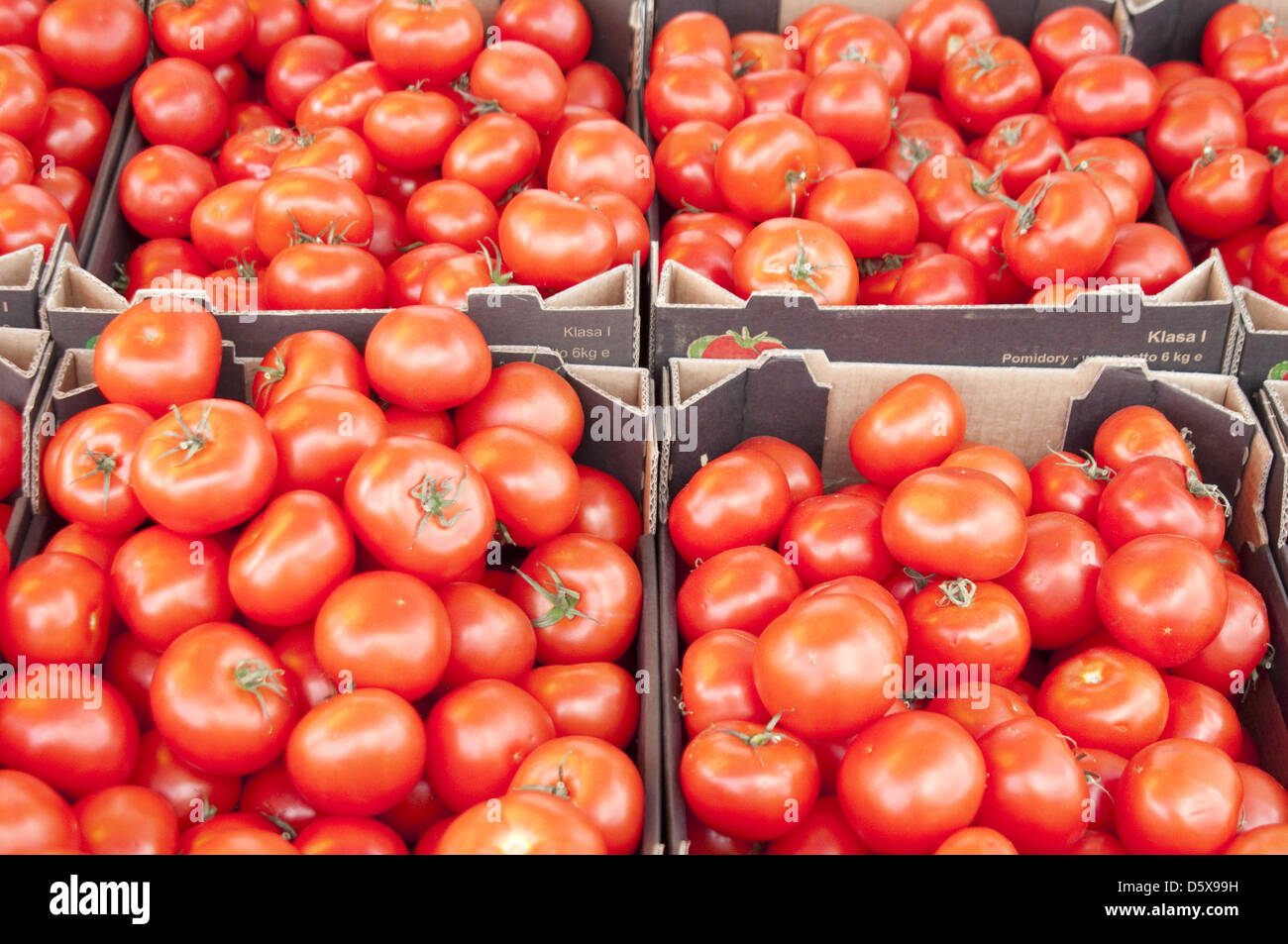 Set six hi-res stock photography and images - Alamy