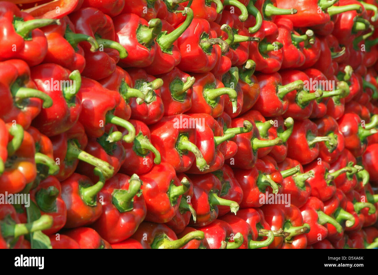 Capsicum rot hi-res stock photography and images - Alamy