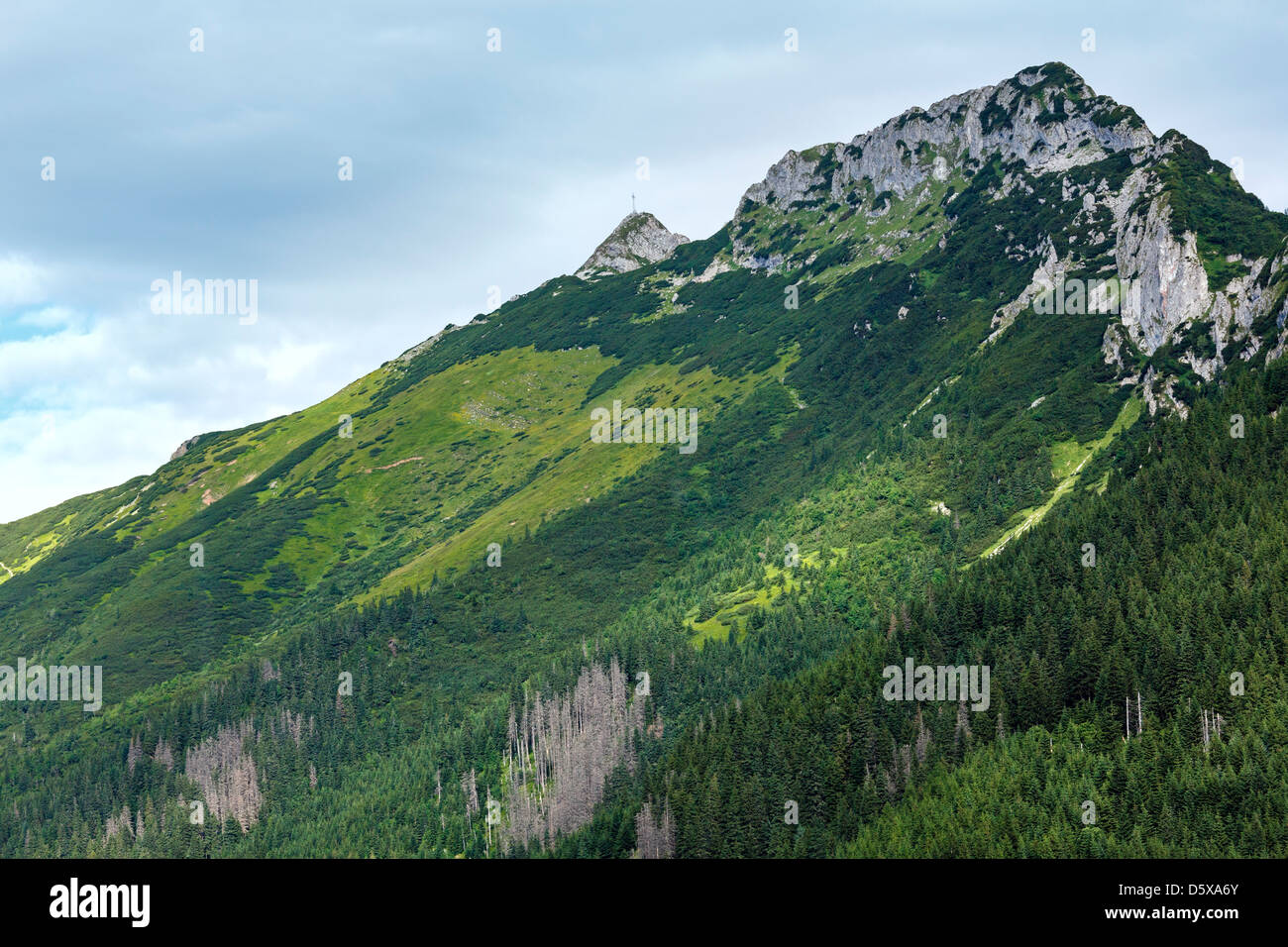 Tatra Mountain, Poland, view to Giewont mount Stock Photo - Alamy