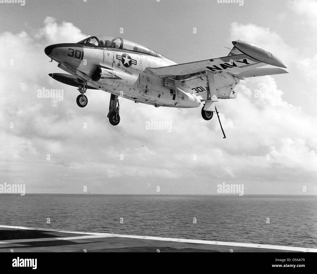 T 2c buckeye Black and White Stock Photos & Images - Alamy