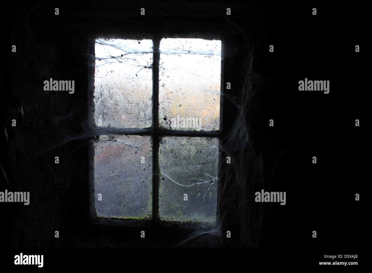 cobweb on window in old shed Stock Photo - Alamy