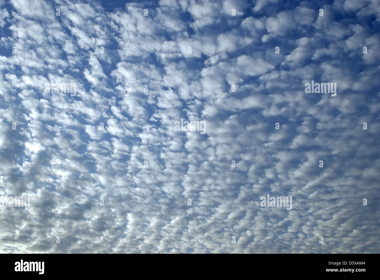 Cirrocumulus wolken hi-res stock photography and images - Alamy