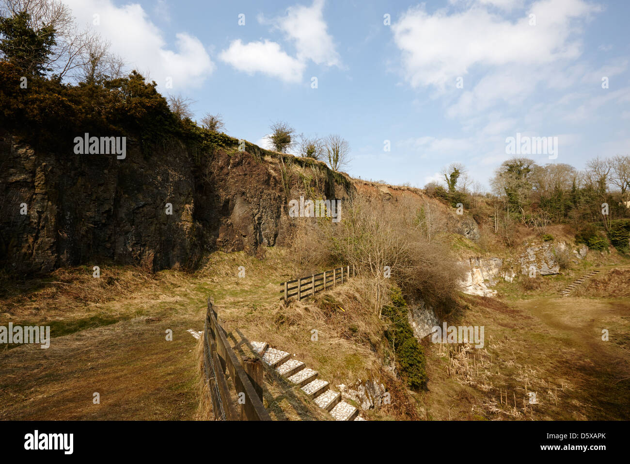 Belshaws Quarry nature reserve county antrim northern ireland uk Stock ...