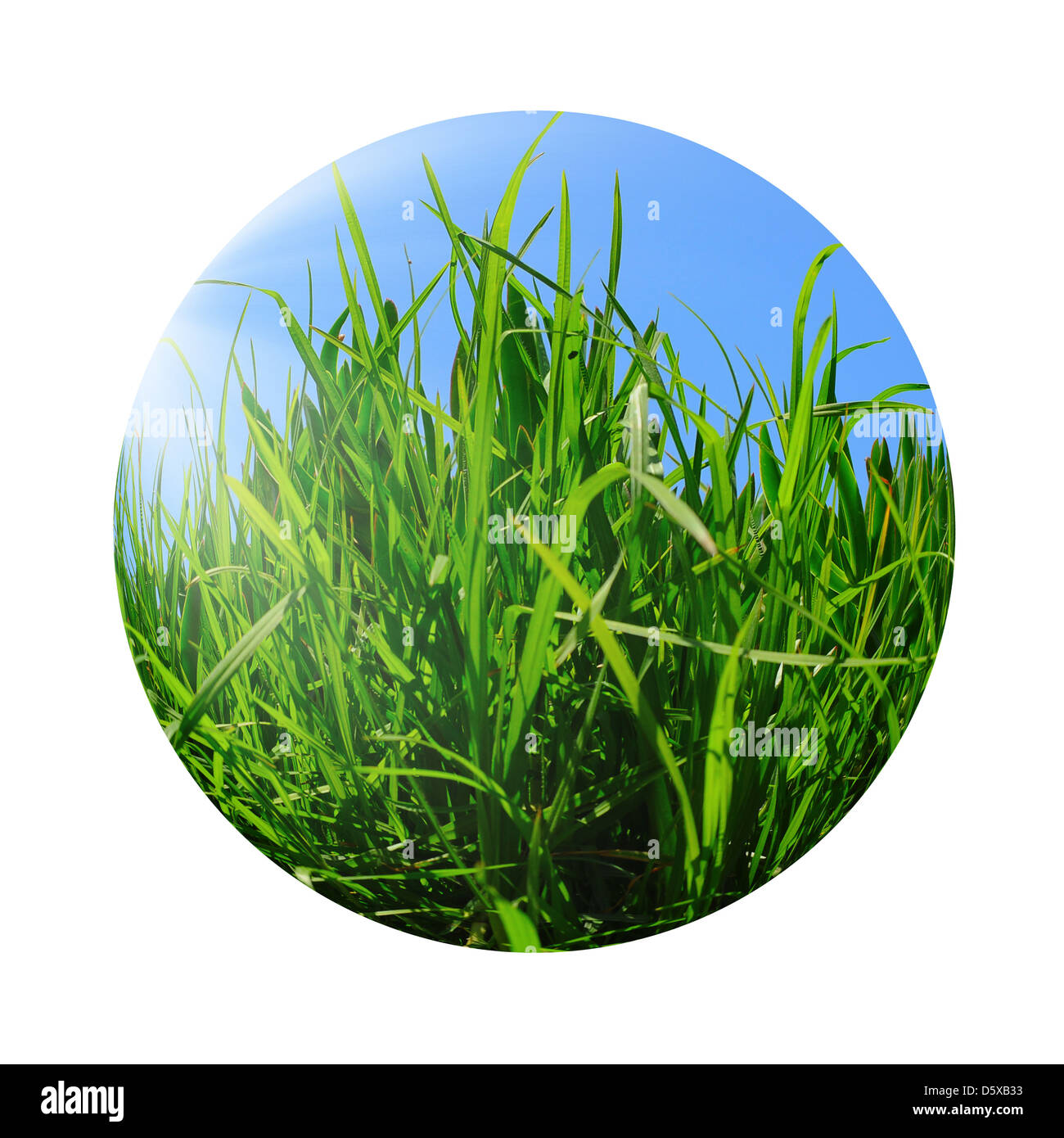 Dawn blue light Cut Out Stock Images & Pictures - Alamy