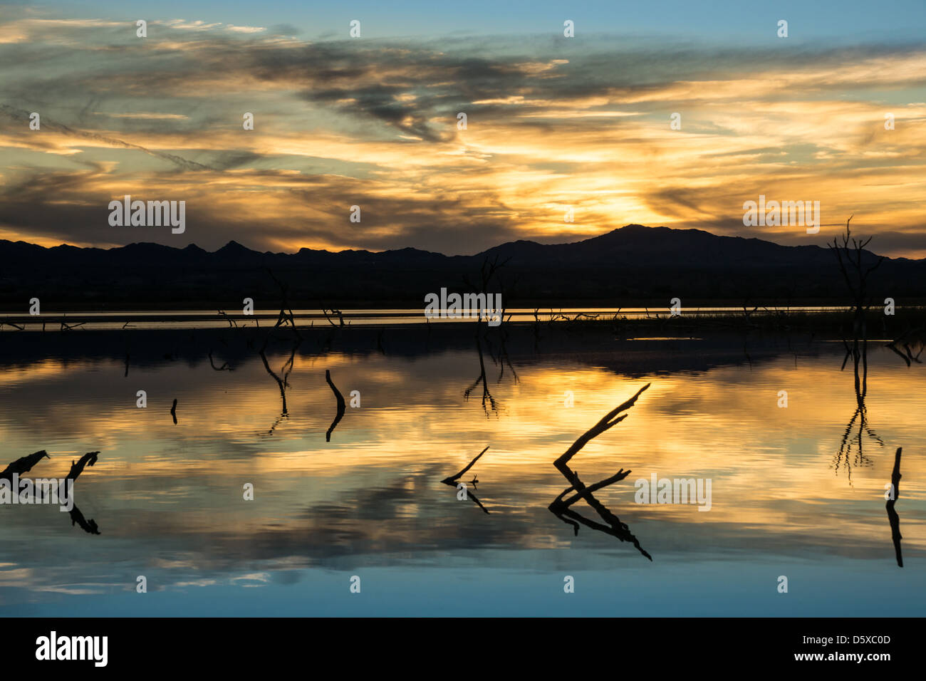Desert Wetlands Sunset Stock Photo - Alamy