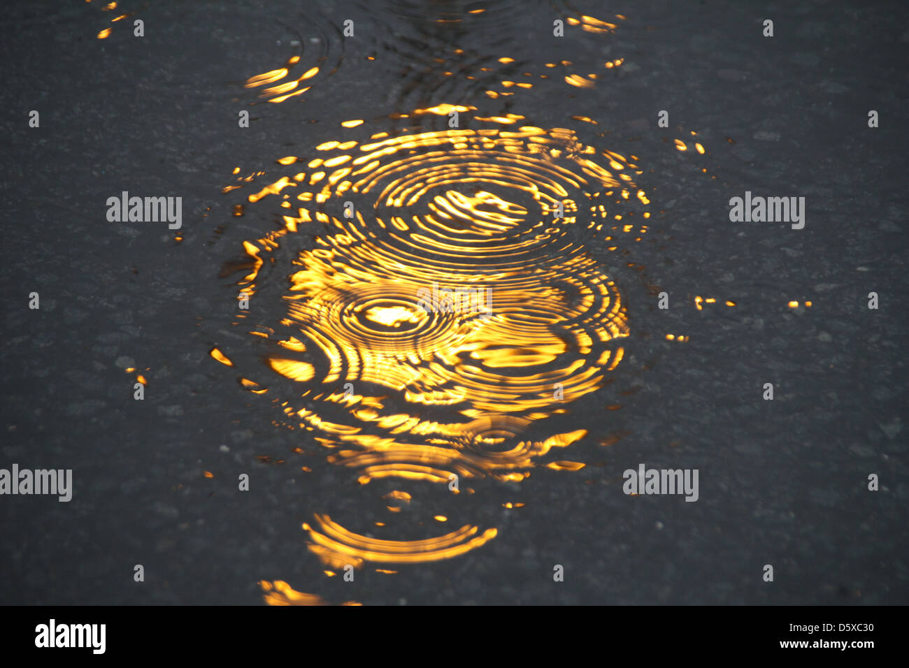 rain drops in puddle with street light reflection Stock Photo - Alamy